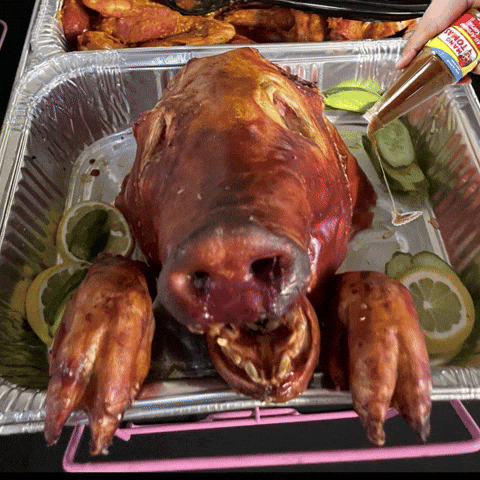 Cebu GIFs - Get the best GIF on GIPHY