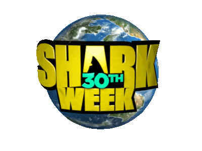 Discovery Channel sticker by Discovery Europe for iOS & Android | GIPHY