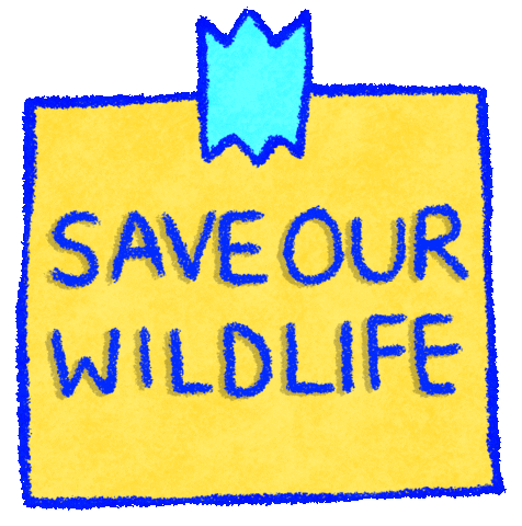Wildlife Protection & Conservation GIFs on GIPHY - Be Animated