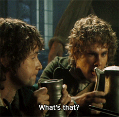 Lord Of The Rings Lol Pippin GIF by Maudit - Find & Share on GIPHY
