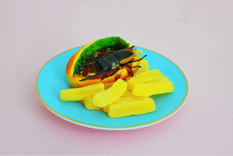 Stop Motion Food GIF by Cristina Burns - Find & Share on GIPHY