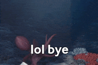 Nope Nope Nope Octopus Gif