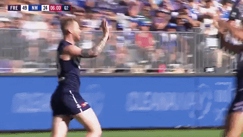 Foreverfreo Freo GIF by Fremantle Dockers - Find & Share on GIPHY