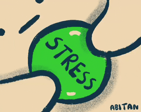 Dog GIFs on GIPHY - Be Animated