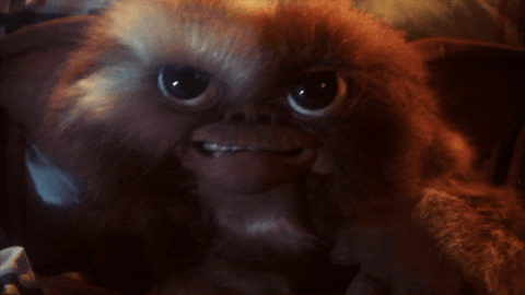 Joe Dante Gremlins GIF by Coolidge Corner Theatre - Find & Share on GIPHY
