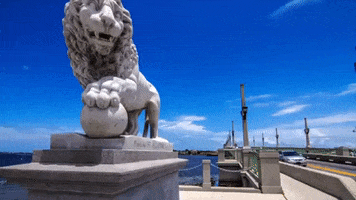 Florida GIFs - Find & Share on GIPHY