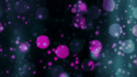 One Last Chance Neel Official GIF - Find & Share on GIPHY