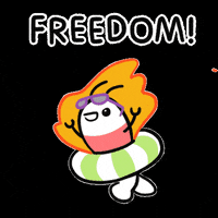 Freedom Is Everything GIFs - Find & Share on GIPHY