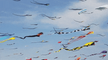 10 Awesome Kites to Celebrate Fly a Kite Day! by Reaction GIFs | GIPHY