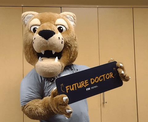 Roary GIFs on GIPHY - Be Animated