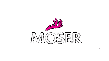 Moser_Trachten GIFs on GIPHY - Be Animated