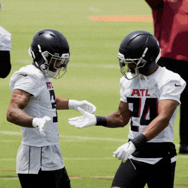 Faribault Falcons Transparent Gif