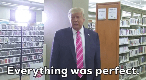Everything Was Perfect GIFs - Get the best GIF on GIPHY