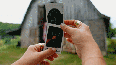Priscilla Block GIFs on GIPHY - Be Animated