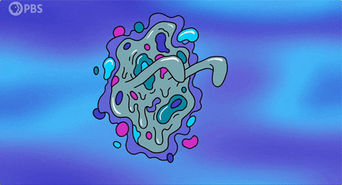 Aging Human Body GIF by PBS Digital Studios - Find & Share on GIPHY