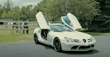 ORG® GIFs on GIPHY - Be Animated