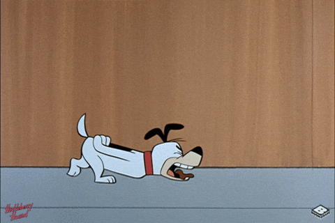 Dog Bone GIFs - Get the best GIF on GIPHY