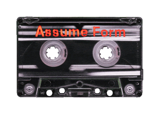 Form Assume Sticker by James Blake for iOS & Android | GIPHY