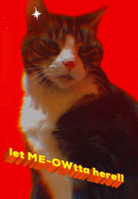 Let Me Out Meme GIFs - Find & Share on GIPHY