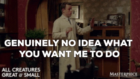 Small-ideas GIFs - Get the best GIF on GIPHY