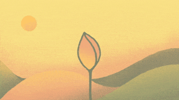 Mantra Mirage GIFs on GIPHY - Be Animated