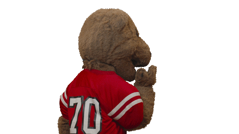 Touchdown Reaction GIFs by Cornell Alumni | GIPHY