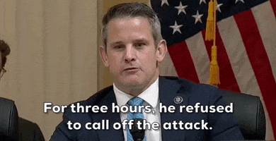2nd Anniversary Of The January 6th Attempted Violent Anti-American ...