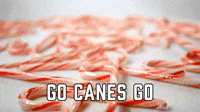 Canes-win GIFs - Get the best GIF on GIPHY