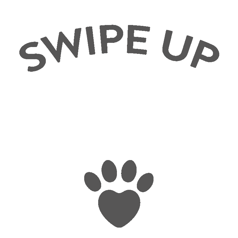 High Five Yes Please Sticker by Pets Deli for iOS & Android | GIPHY