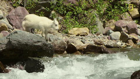 Hostile Planet: Mountains by National Geographic TV | GIPHY