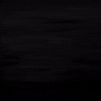 Entropia GIFs - Get the best GIF on GIPHY