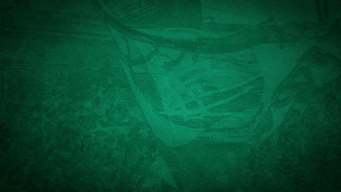 Fluminense GIFs - Get the best GIF on GIPHY