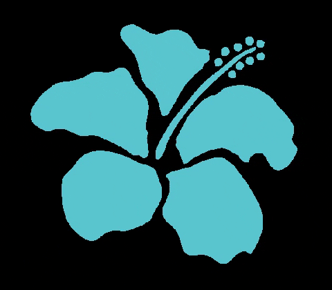 Animated GIF - Find & Share on GIPHY
