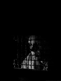 Kit Walker Gif Dancing