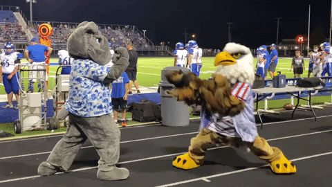 Mad Mascot Fight GIF by The Hubbard Eagle - Find & Share on GIPHY