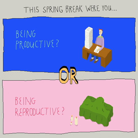 Spring Break Pixel GIF by Andy Gottschalk - Find & Share on GIPHY