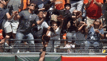 Pit GIF by MLB - Find & Share on GIPHY