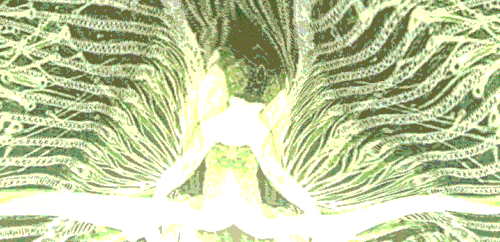 Iter Research GIFs - Get the best GIF on GIPHY