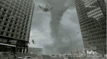 Shark Attack GIFs - Find & Share on GIPHY