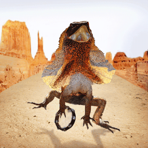 Yippee GIF by SKIPPY Peanut Butter - Find & Share on GIPHY