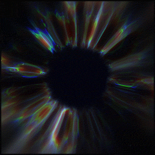 Gif Artist Glow GIF by Erica Anderson - Find & Share on GIPHY