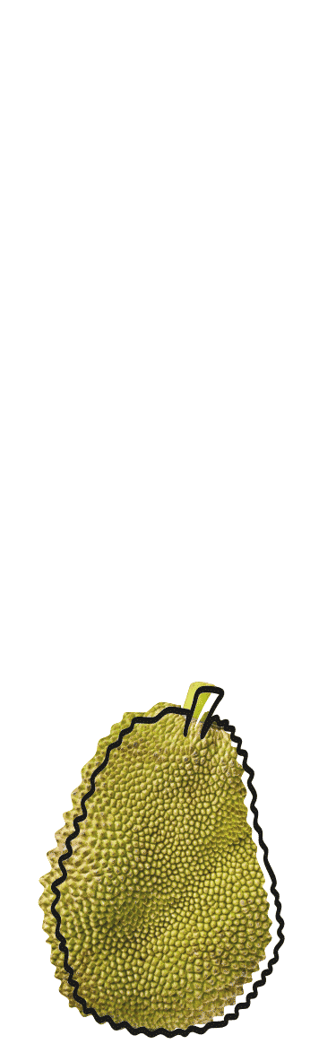 Jackfruit Jackfruitoriginal Sticker by Fairtrade Original for iOS ...