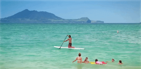 Scarlet Honolulu GIFs - Get the best GIF on GIPHY