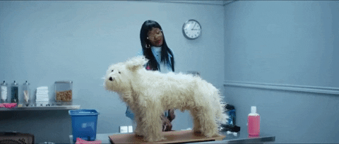 Flea Market GIF by Tierra Whack - Find & Share on GIPHY
