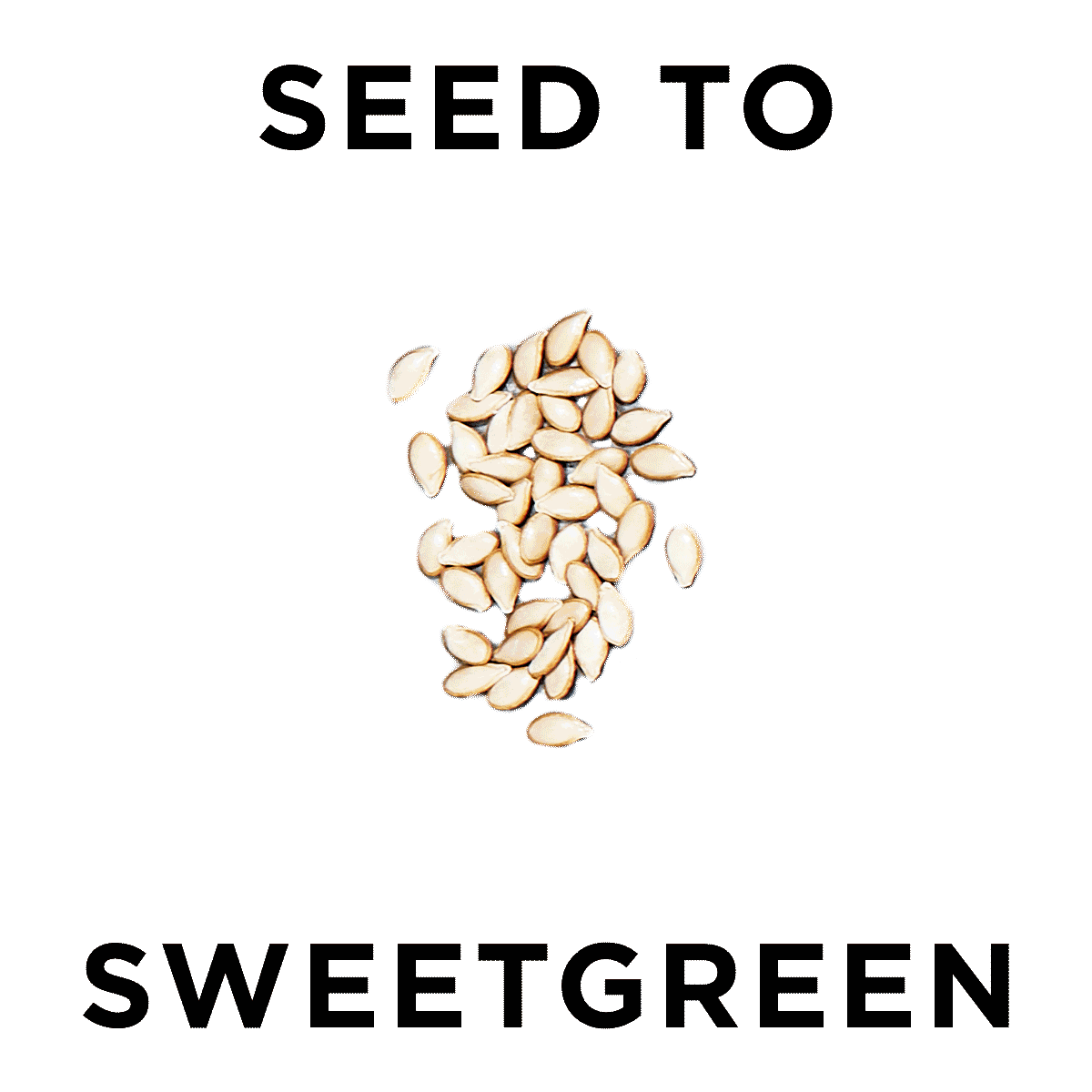 Dan Barber Farming Sticker by sweetgreen for iOS & Android | GIPHY