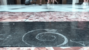 Fossil GIFs - Find & Share on GIPHY