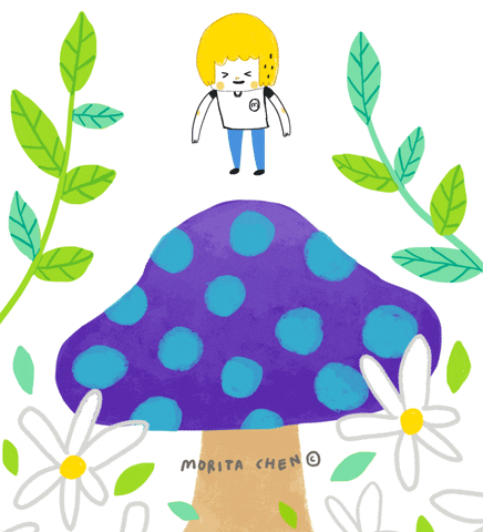 Morita GIFs - Get the best GIF on GIPHY