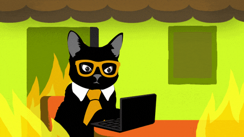 Typing Cat GIFs - Get the best GIF on GIPHY