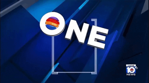 Local 10 News Clips - Be Animated