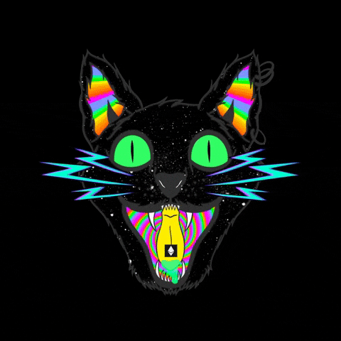 Trippy Cat Animated Gif